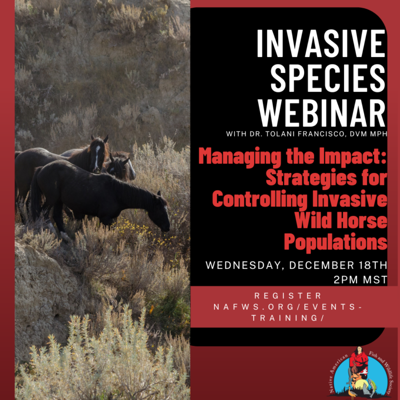 Managing the Impact: Strategies for Controlling Invasive Wild Horse ...