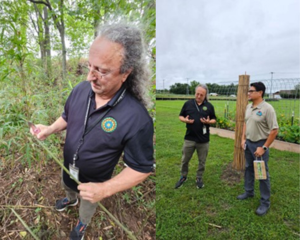 United Keetoowah Band of Cherokee Indians Awarded Funds to Restore Endangered River Cane ...