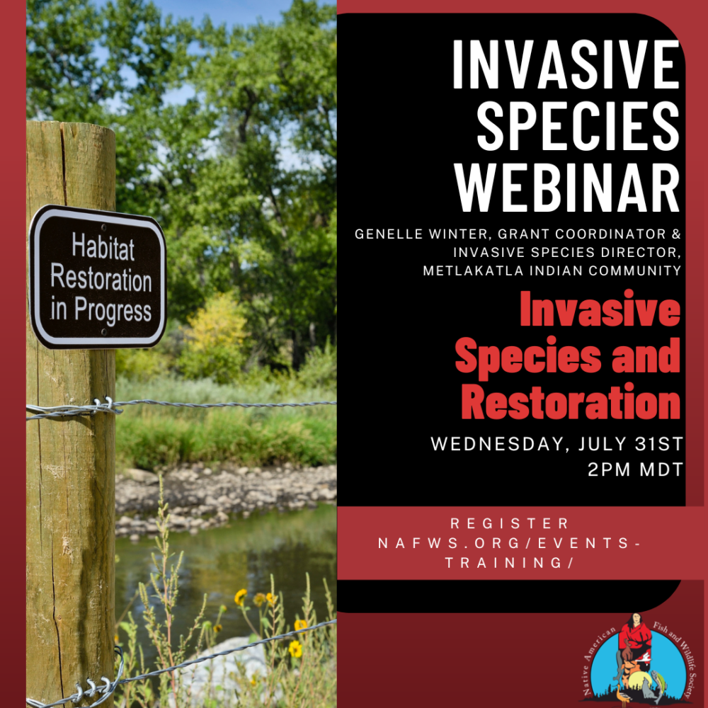 Invasive Species: Invasive Species and Restoration - Native American ...