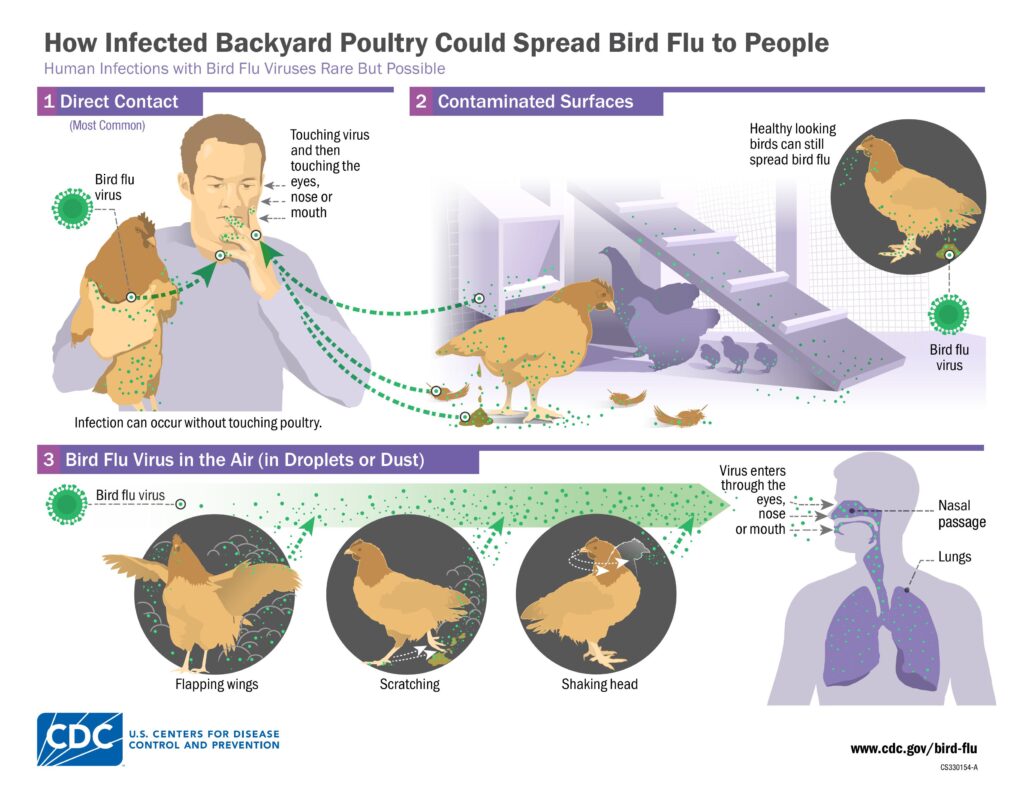 Avian Influenza Community Health & Risk Reduction - Native American ...