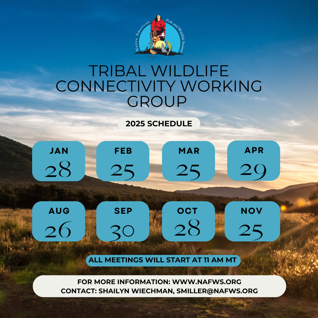 Wildlife Connectivity Working Group - Native American Fish and Wildlife ...